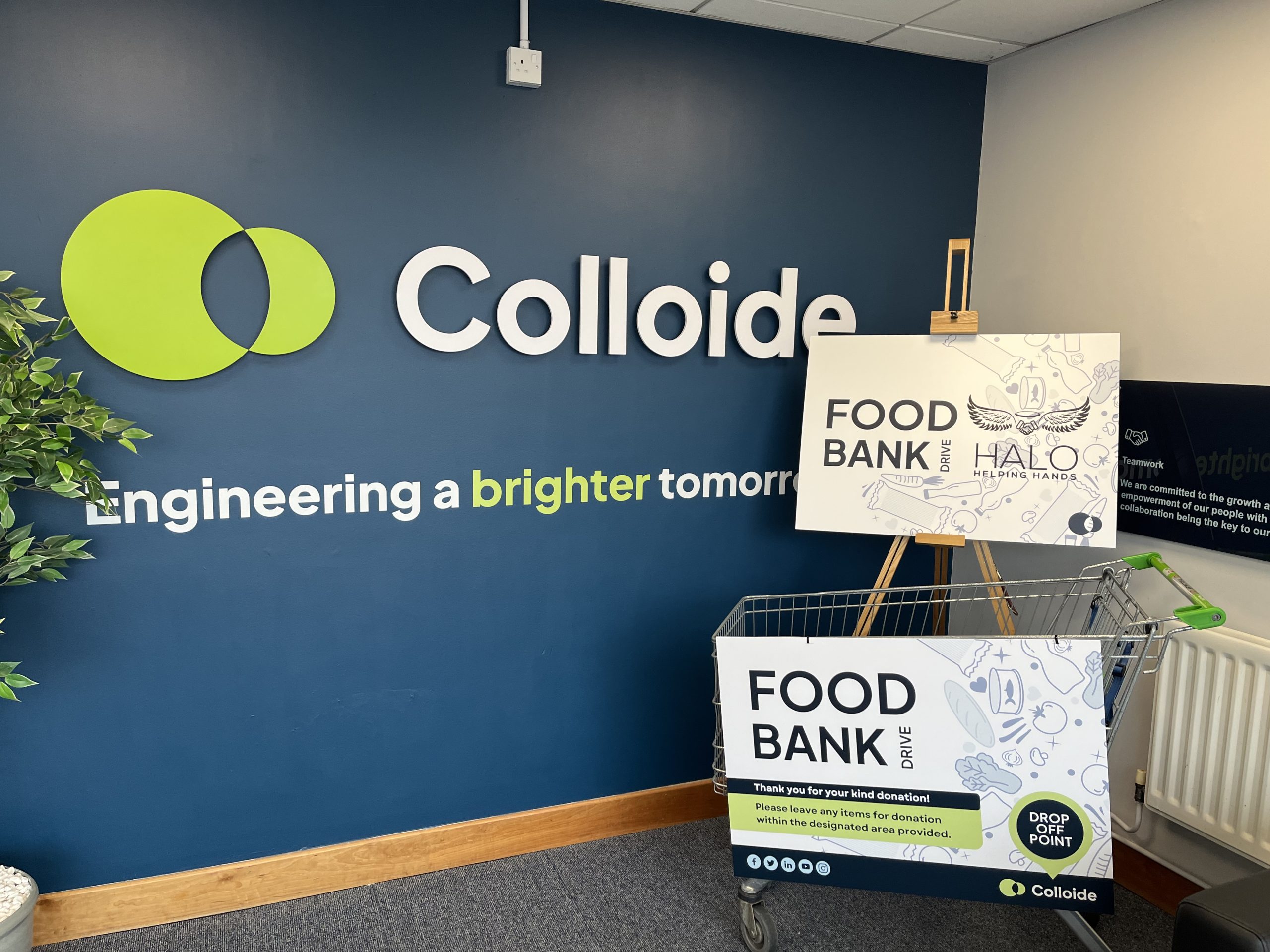 Supporting Halo Helping Hands : Colloide